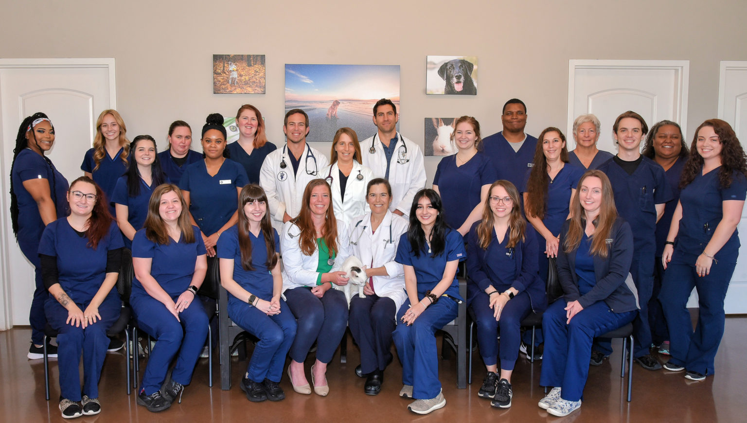 About Carpenter Animal Hospital in Cary, NC | Visit Us